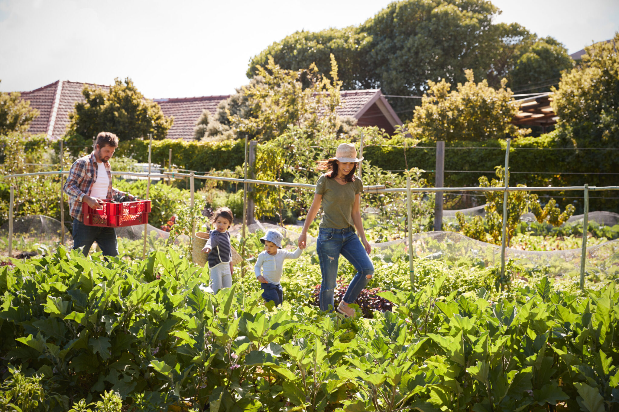 The Farm - Newfield