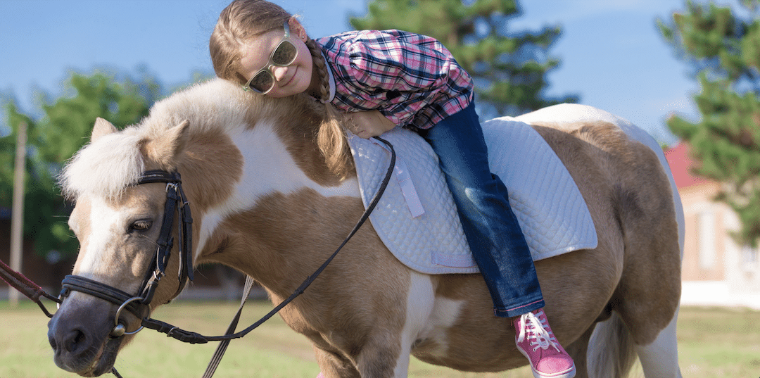 Pony Rides at Newfield Farm - Newfield